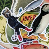 Vinyl Sticker Pack Random Laptop Stickers Waterproof - Etsy