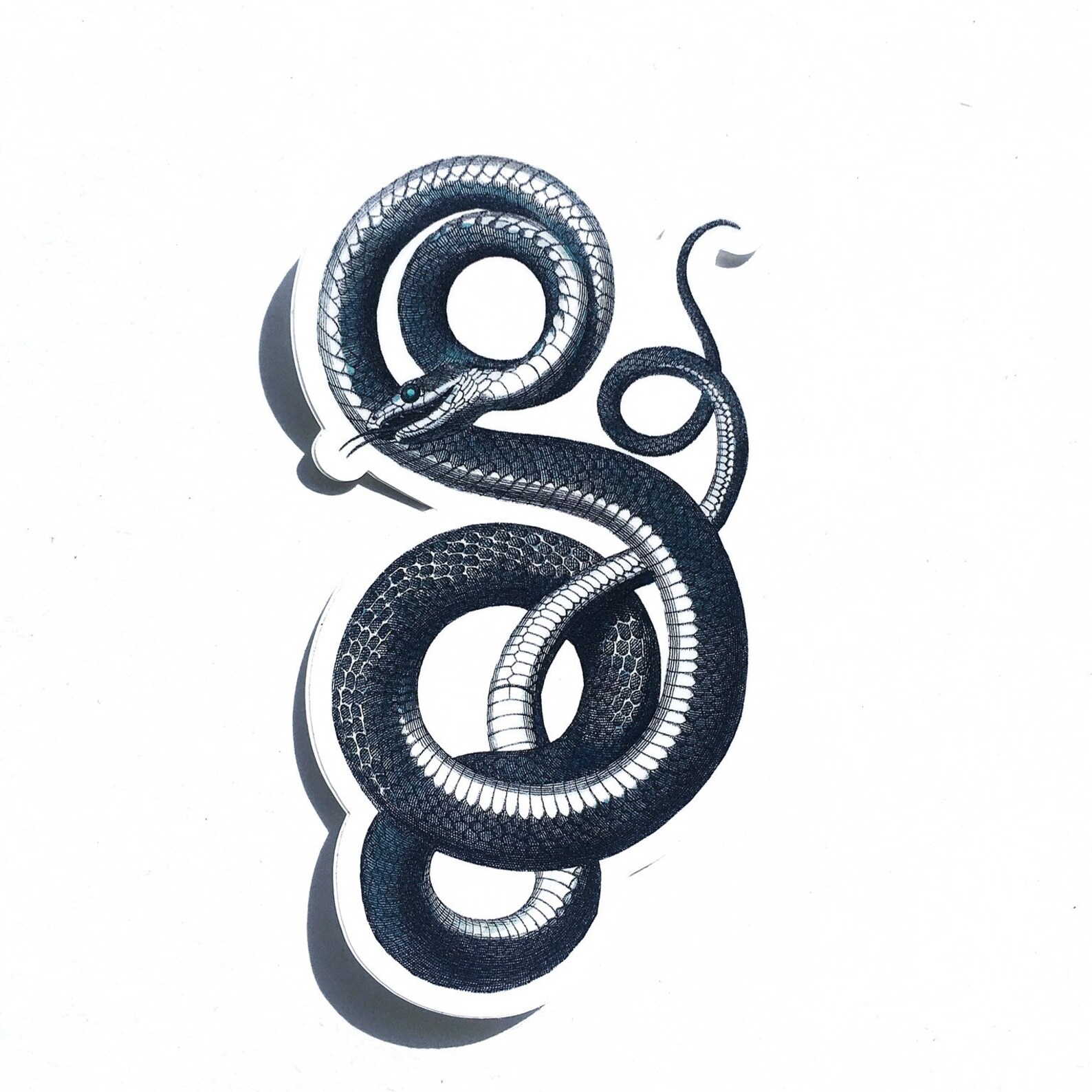 Vintage Snake Sticker, Antique Serpent Vinyl Stickers Laptop, Badass ...