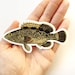 Fish Sticker, Grouper Vinyl Vintage Stickers, Laptop MacBook Flask ...