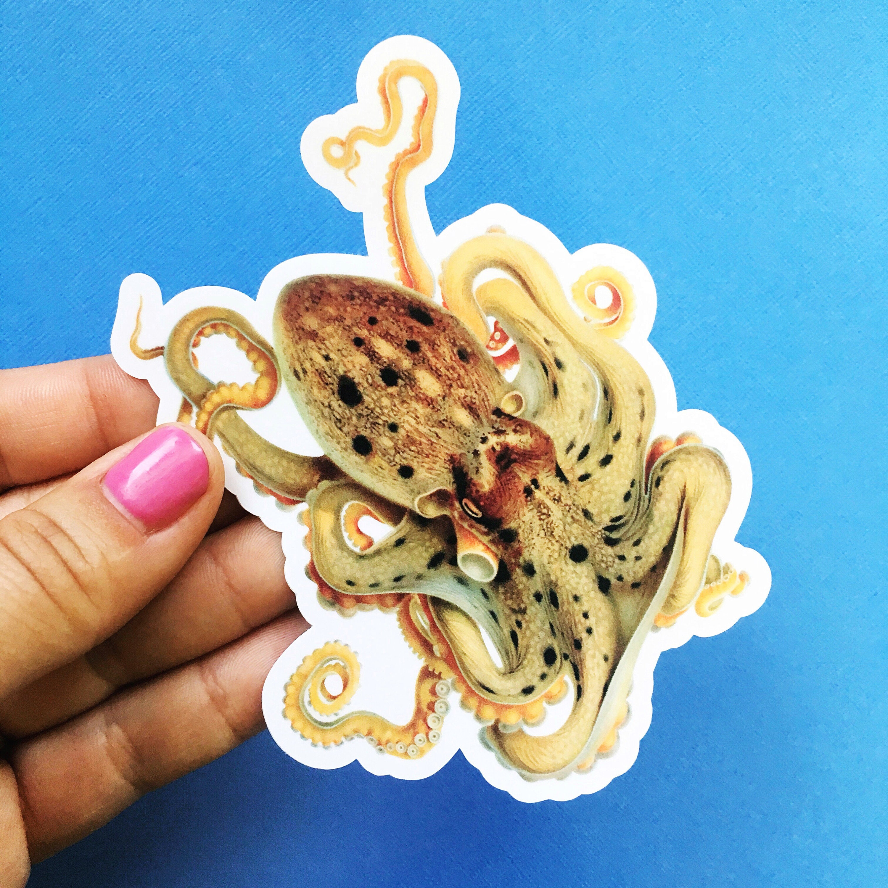Octopus Sticker, Vintage Vinyl Stickers, Ocean Decal, Retro Laptop ...