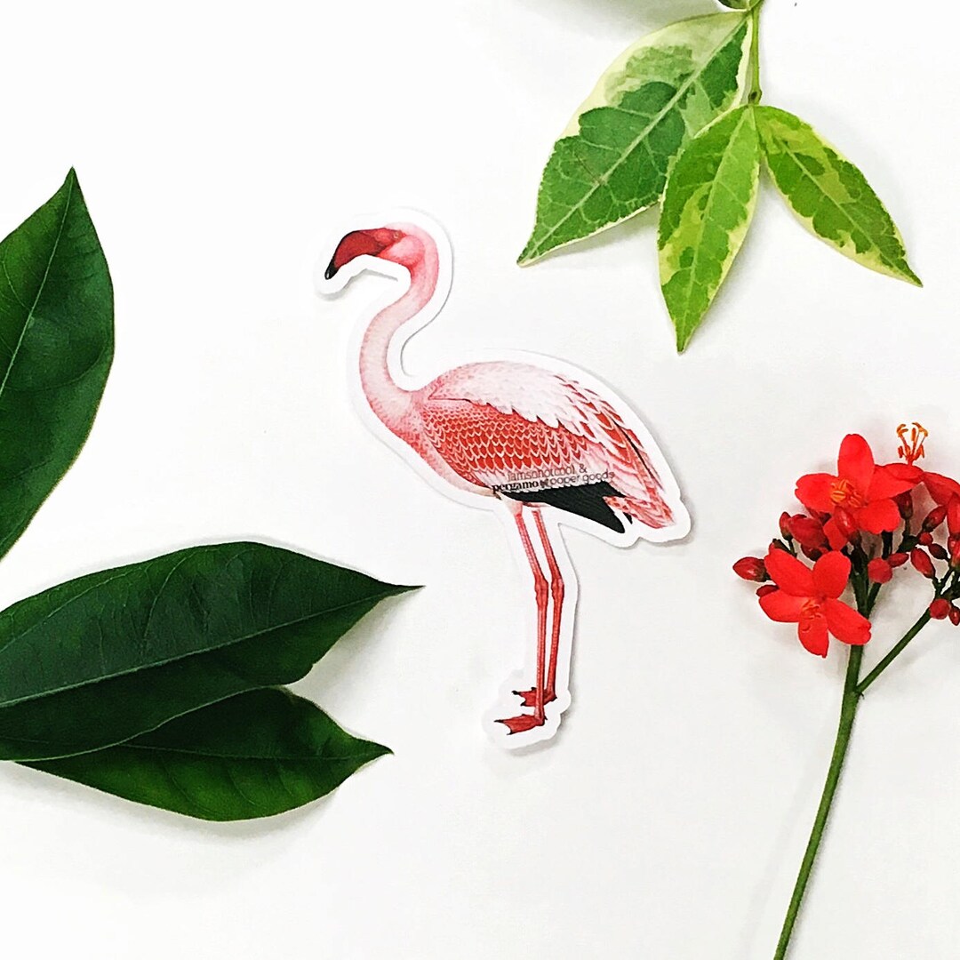 Flamingo Stickers, Vintage Retro Vinyl Sticker Pack, Pink Tropical ...