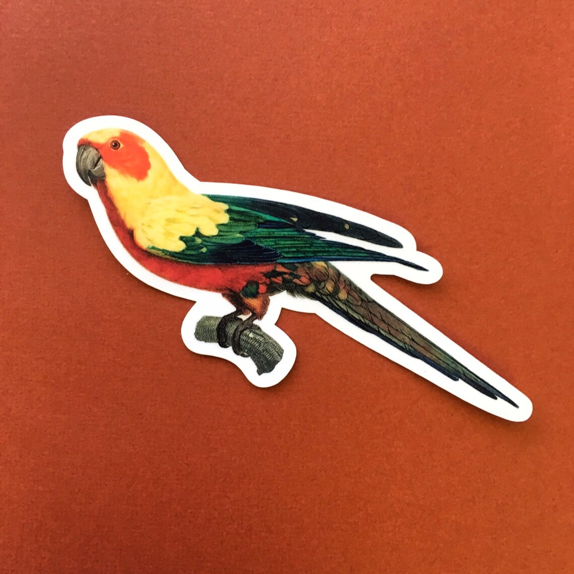 Bird Sticker Tropical Vinyl Sticker Pack Bumper Stickers | Etsy