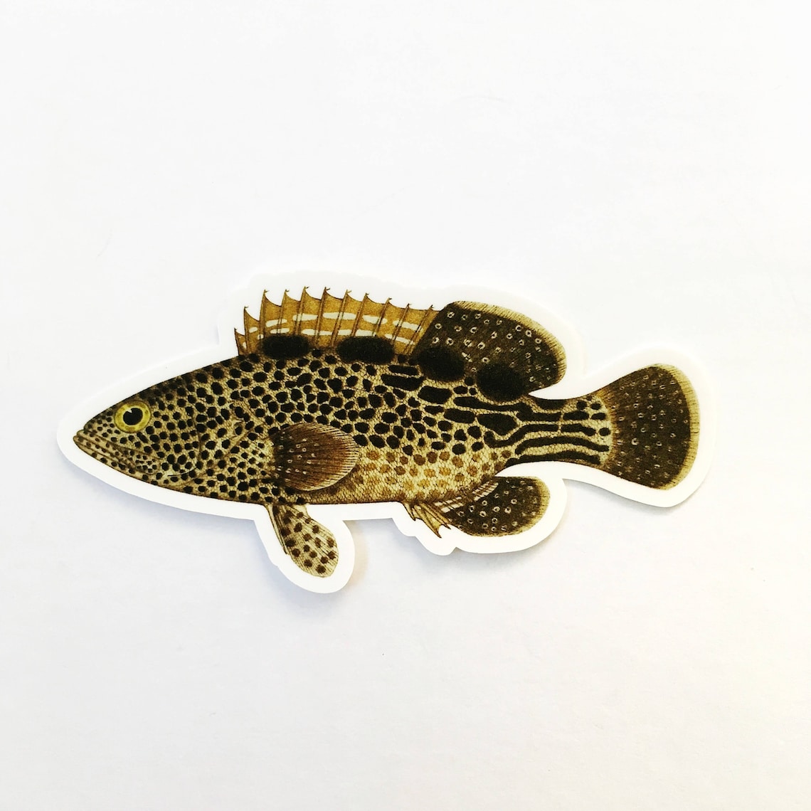 Fish Sticker Grouper Vinyl Vintage Stickers Laptop Macbook - Etsy