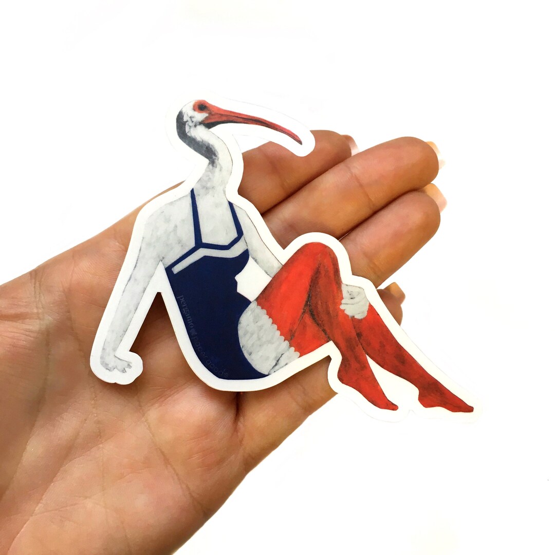 Ibis Sticker, Weird Vinyl Stickers, Bird Laptop Decal, Bumper Sticker ...