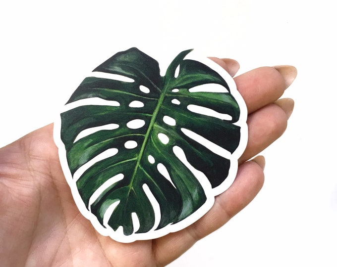 Fortune Teller Sticker Fortune Telling Retro Vinyl Stickers - Etsy