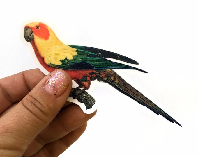 Vintage Snake Sticker Antique Serpent Vinyl Stickers Laptop - Etsy