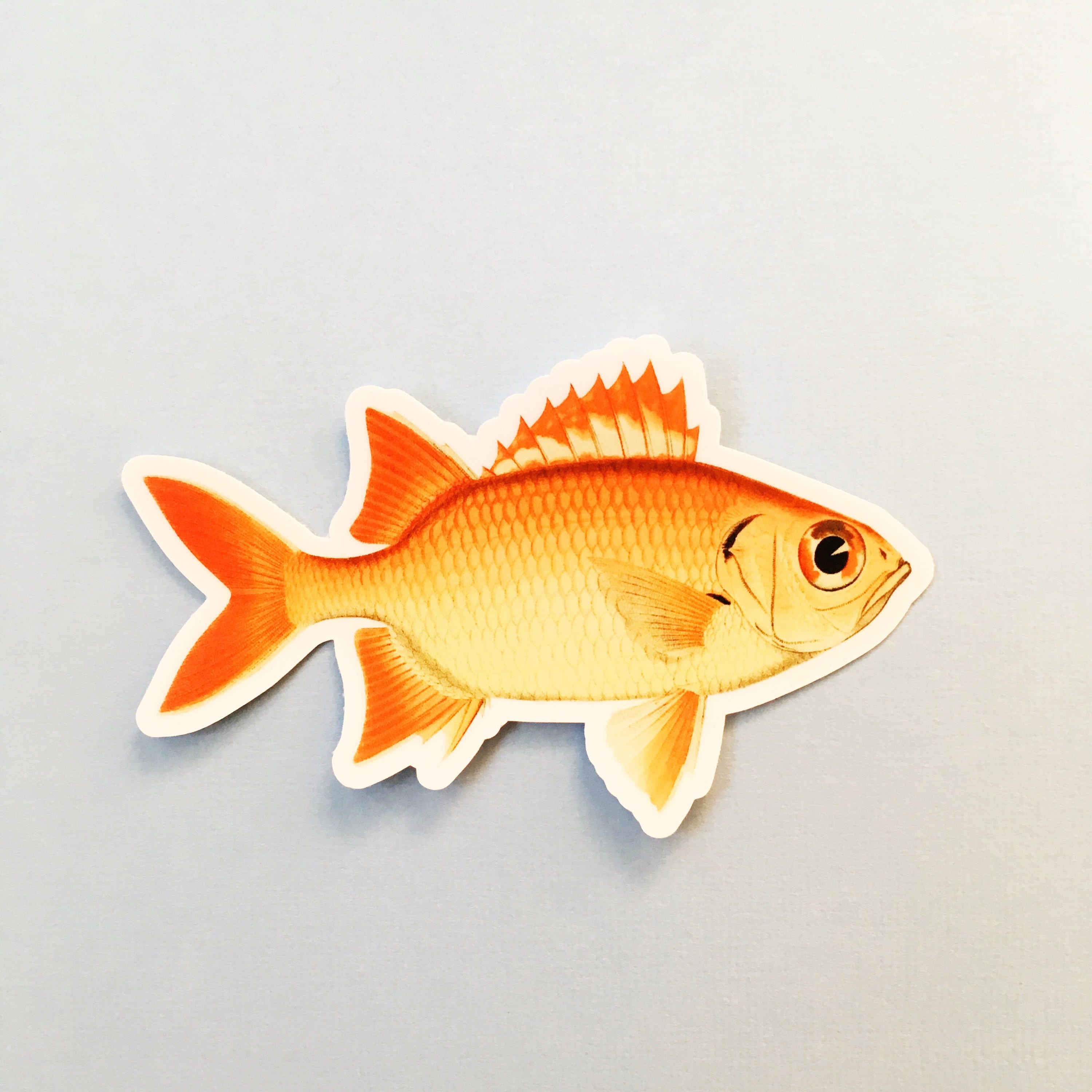 Red Fish Sticker, Soldierfish Vinyl Vintage Stickers, Bumper Sticker ...