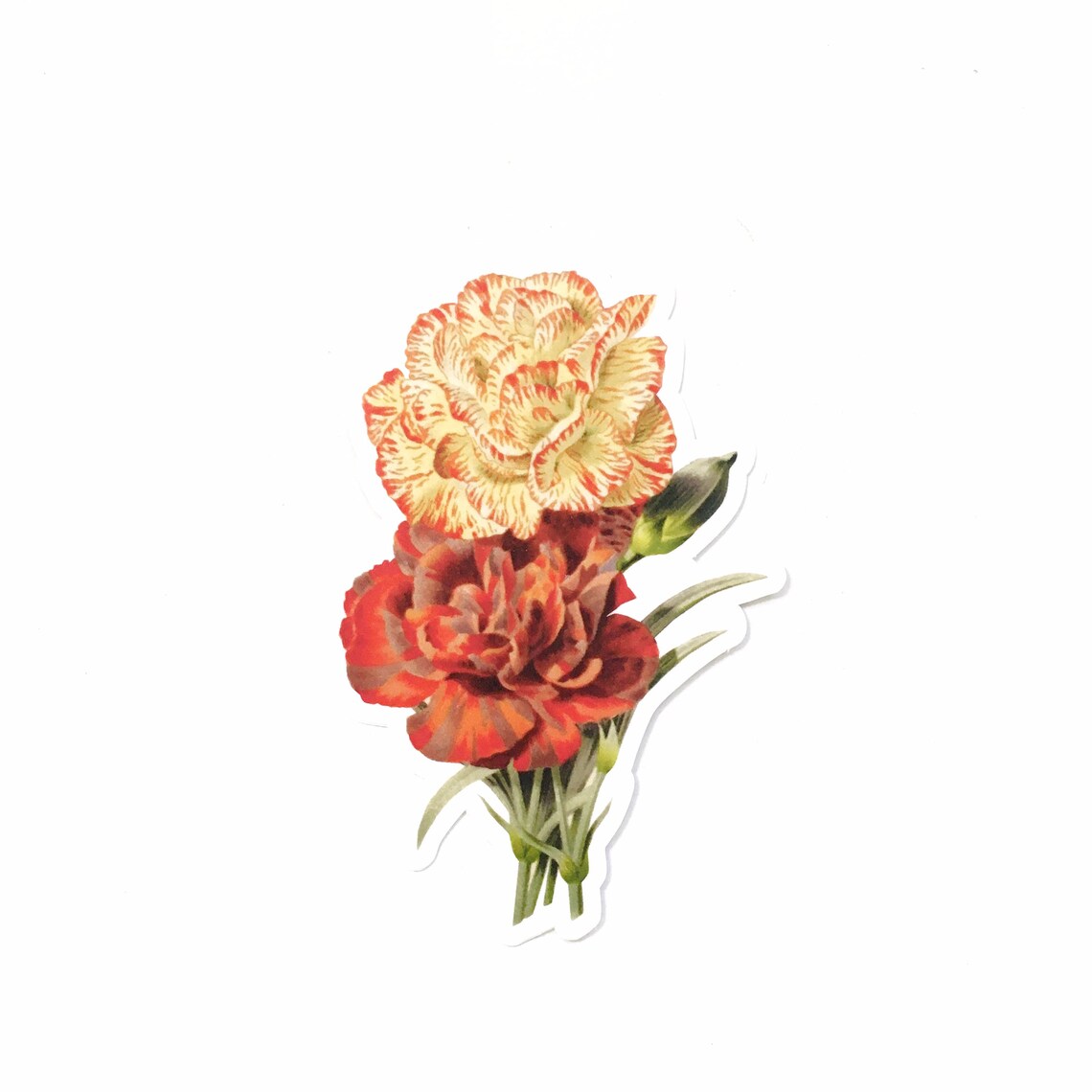 Carnation Stickers, Flower Vinyl Sticker Pack, Laptop Decals Vintage ...