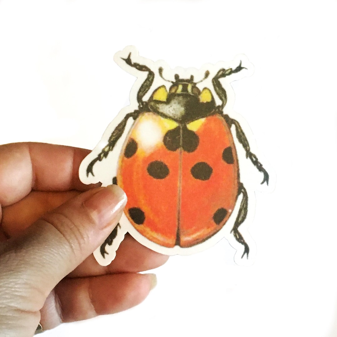 Ladybug Laptop Stickers, Red Beetle Insect Vintage Vinyl Sticker Pack ...