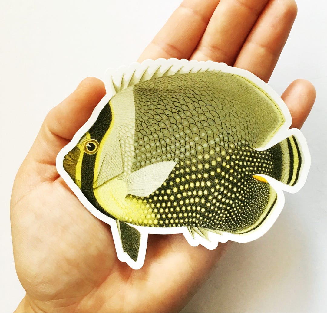 Butterflyfish Sticker, Vinyl Vintage Fish Stickers, Bumper Laptop Decal ...