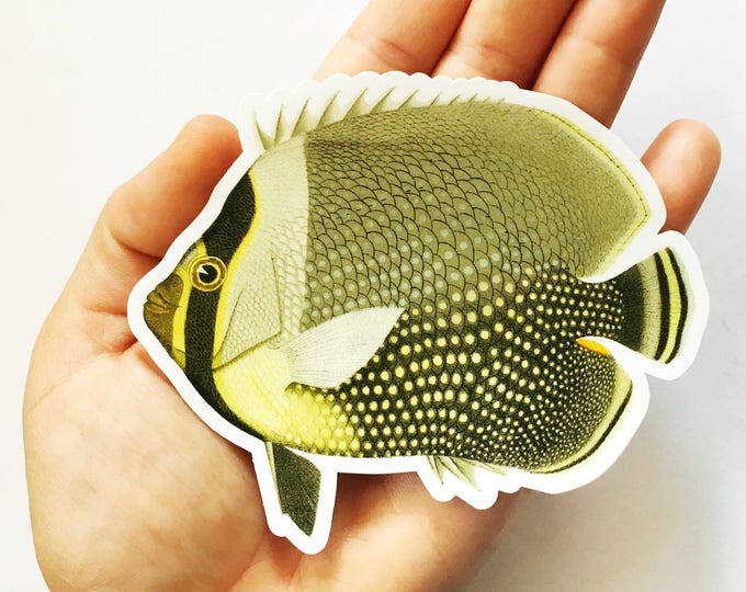 Crab Sticker Vinyl Stickers Macbook Sticker Pack Florida - Etsy