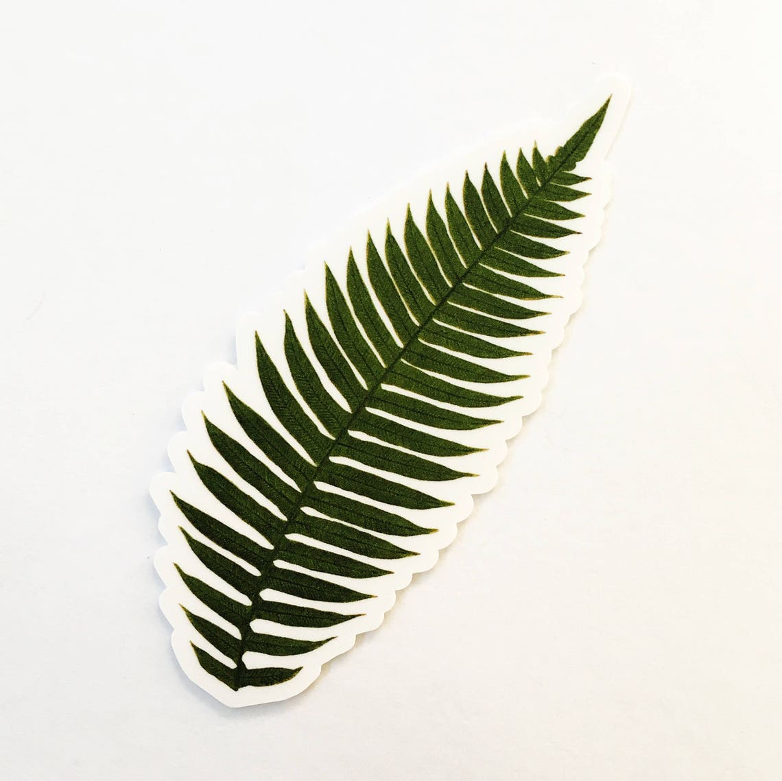 Fern Sticker Pack Nonfade Vintage Leaf Vinyl Stickers - Etsy