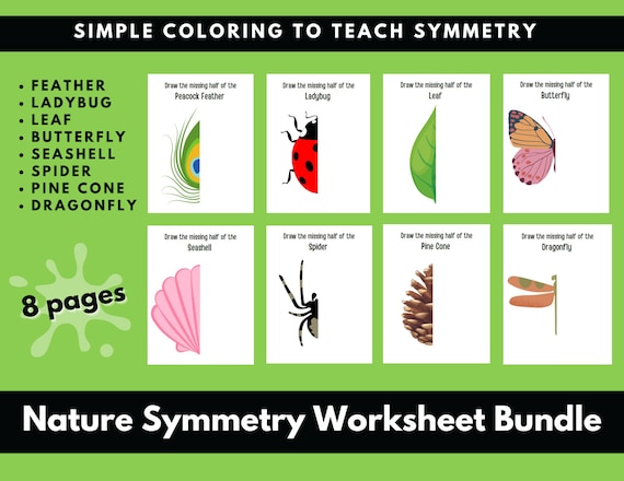 Line Of Symmetry Nature