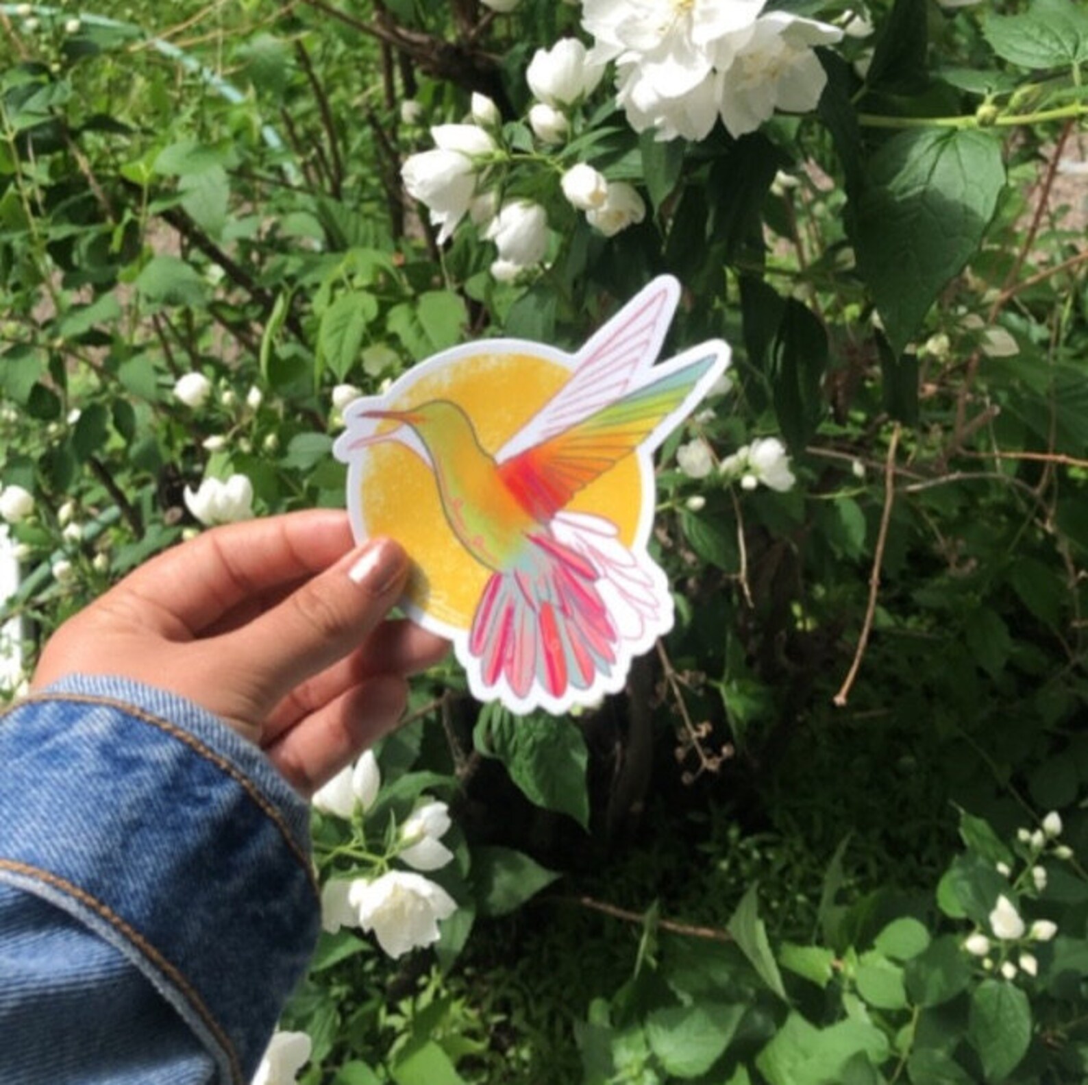 Colibrí Sticker.Hummingbird Art.Bird Sticker.Desert Sticker.Nature ...