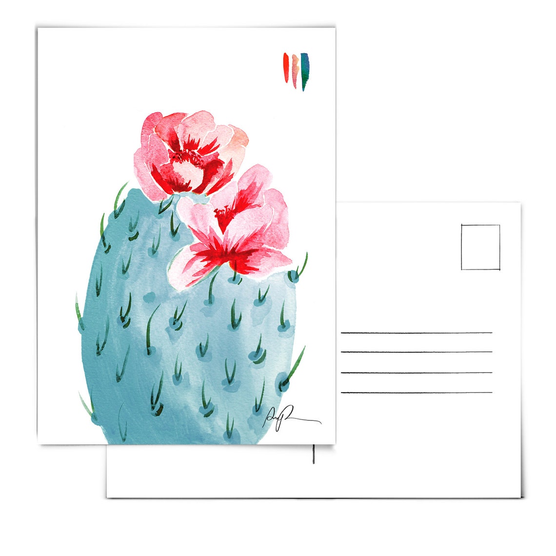 Cactus Postcard.cacti Postcard.floral Postcard.desert - Etsy