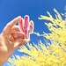 Cactus Sticker.saguaro Sticker.pink Cactus.pink Cacti.cactus Art ...