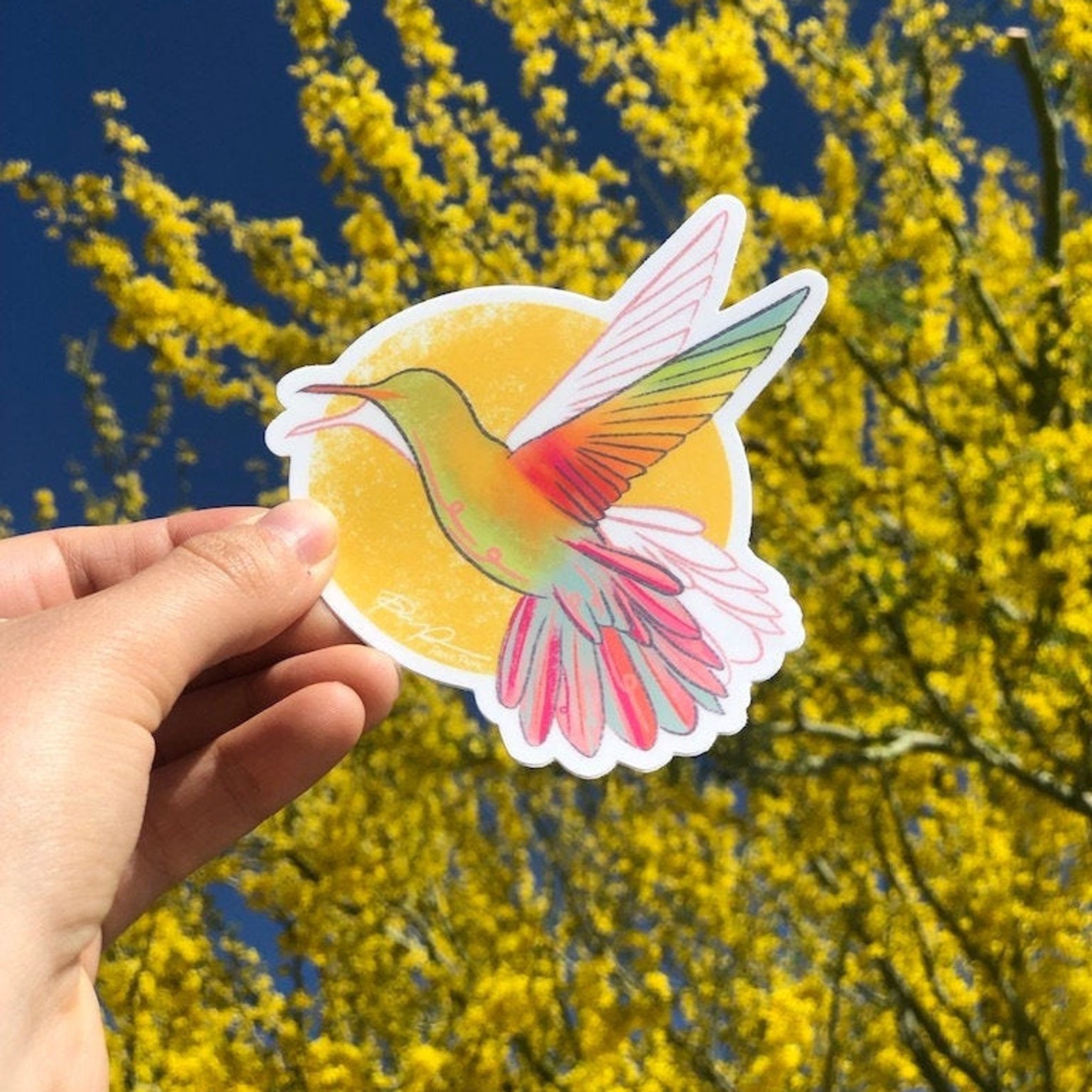 Colibrí Sticker.Hummingbird Art.Bird Sticker.Desert Sticker.Nature ...
