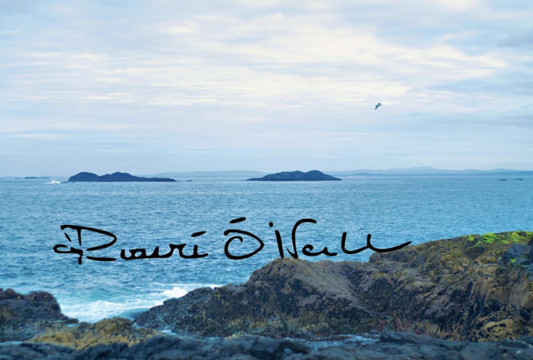 Sceirde Rocks Nature Islands View Limited Edition Photo - Etsy