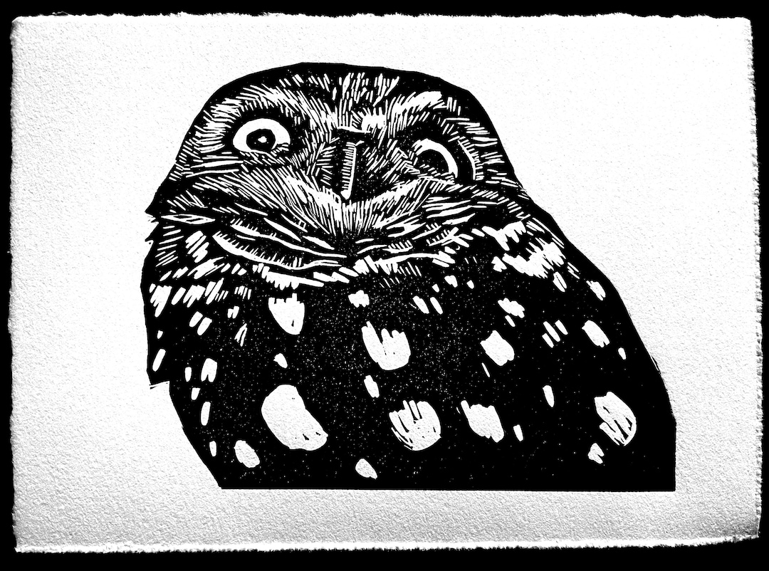 Judging Owl Linoleum Block Print on Cotton Rag Paper, Signed - Etsy