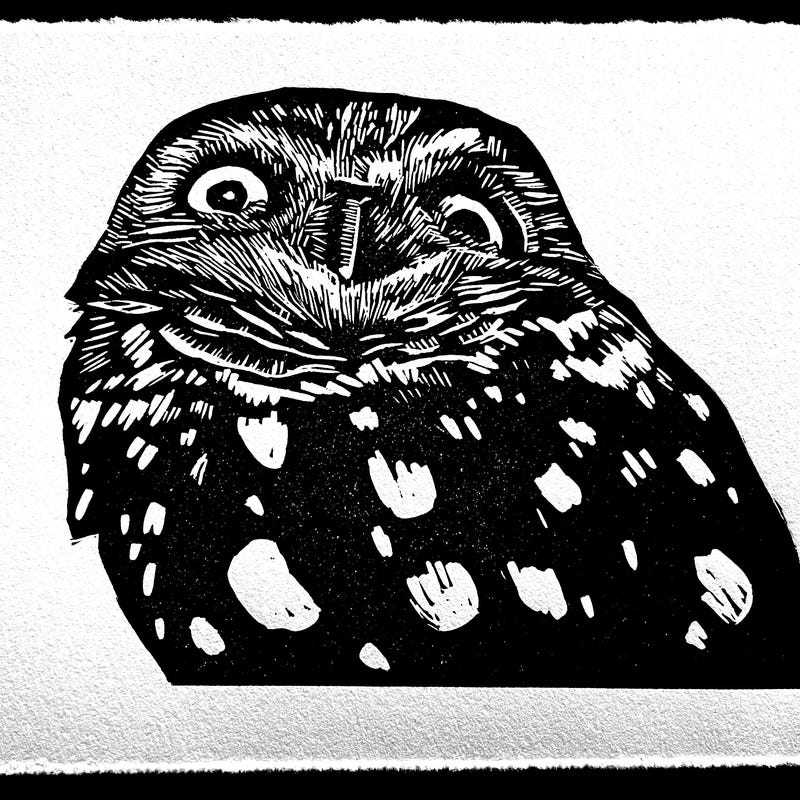 jumpjackstudio - Etsy