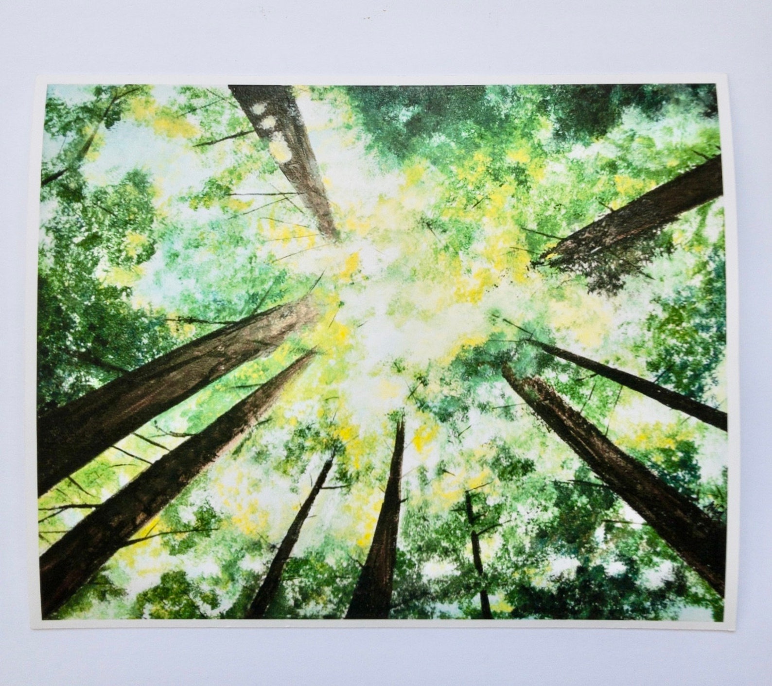 Forest Canopy Painting 8x10 Giclee art print | Etsy