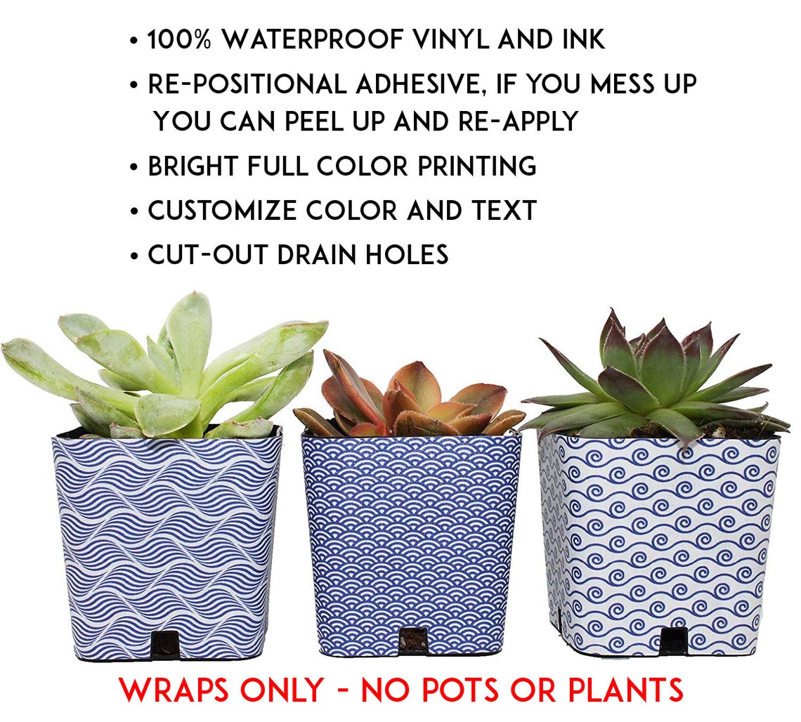 Custom 2 Succulent Wraps 3 Wave Patterns Perfect to - Etsy