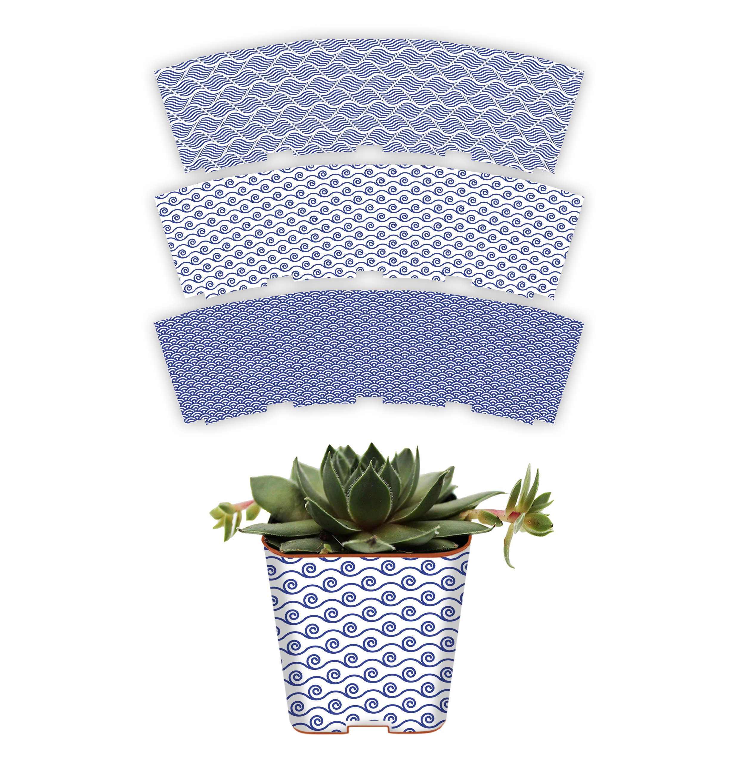Custom 2" Succulent Wraps, 3 Wave Patterns, Perfect to Customize Your ...