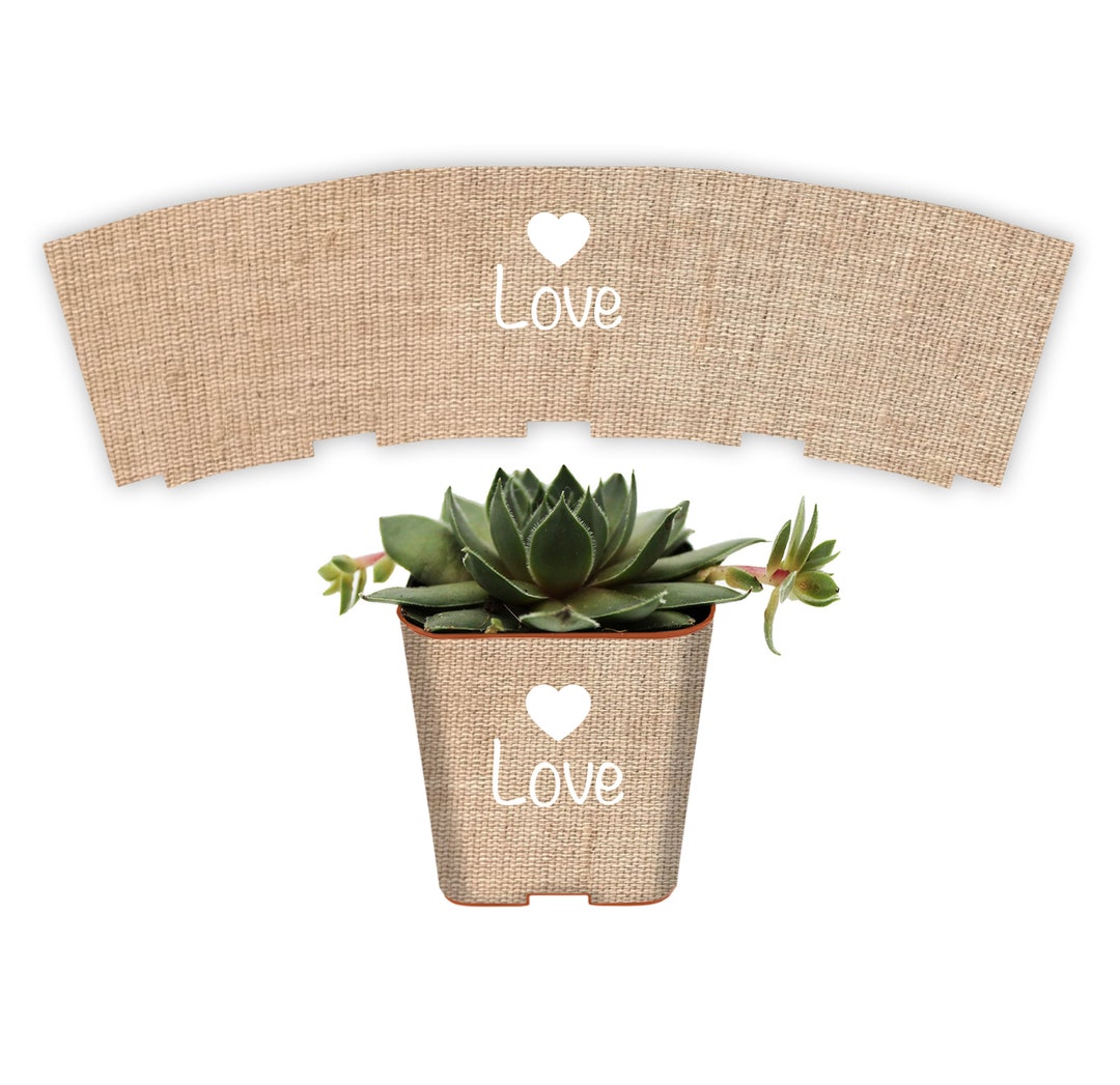 Custom 2 Succulent Wraps, Burlap Print With Heart Perfect to Customize ...