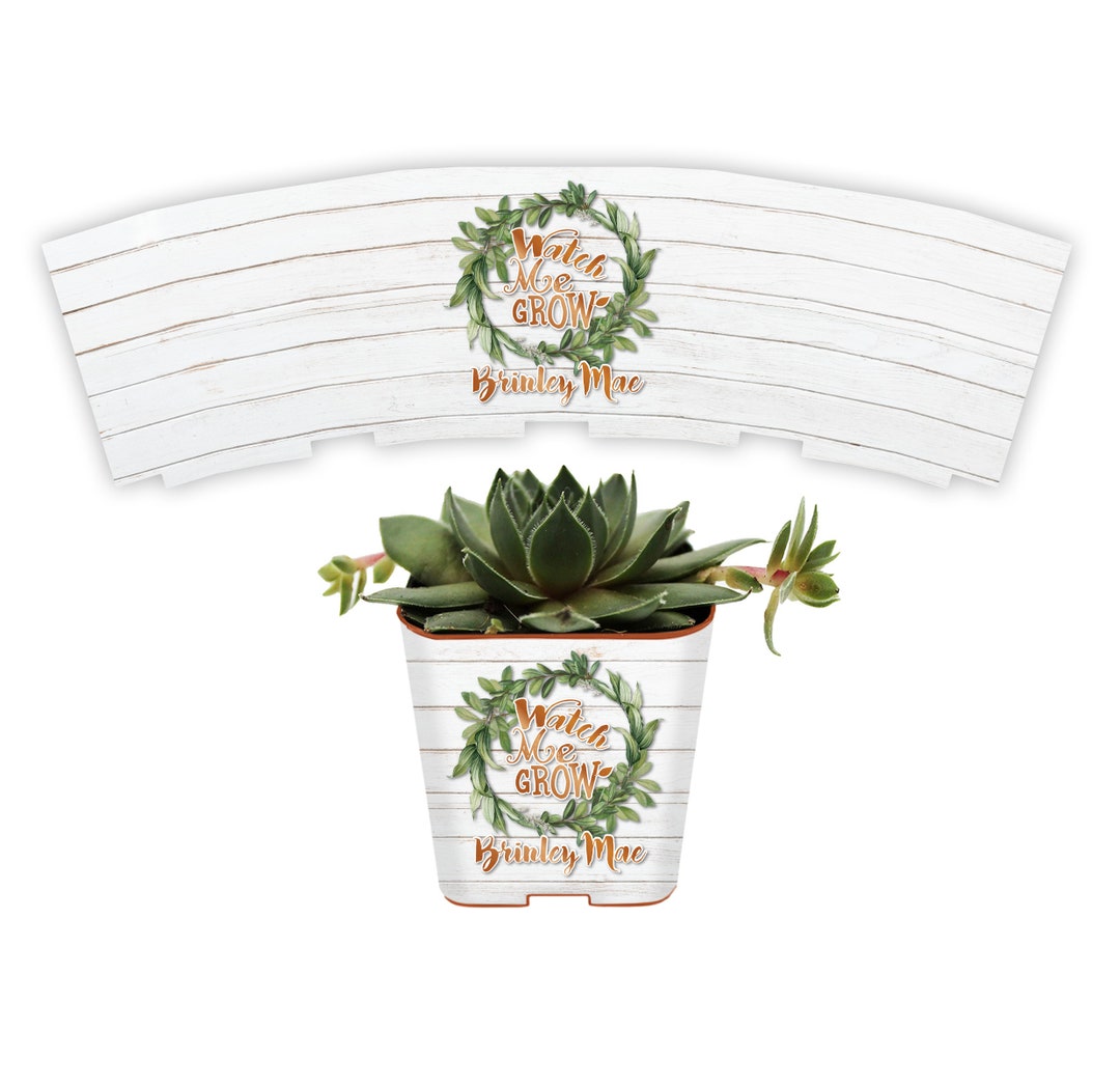 Custom 2" Succulent Wraps, White Shiplap With Wreath, Perfect to ...