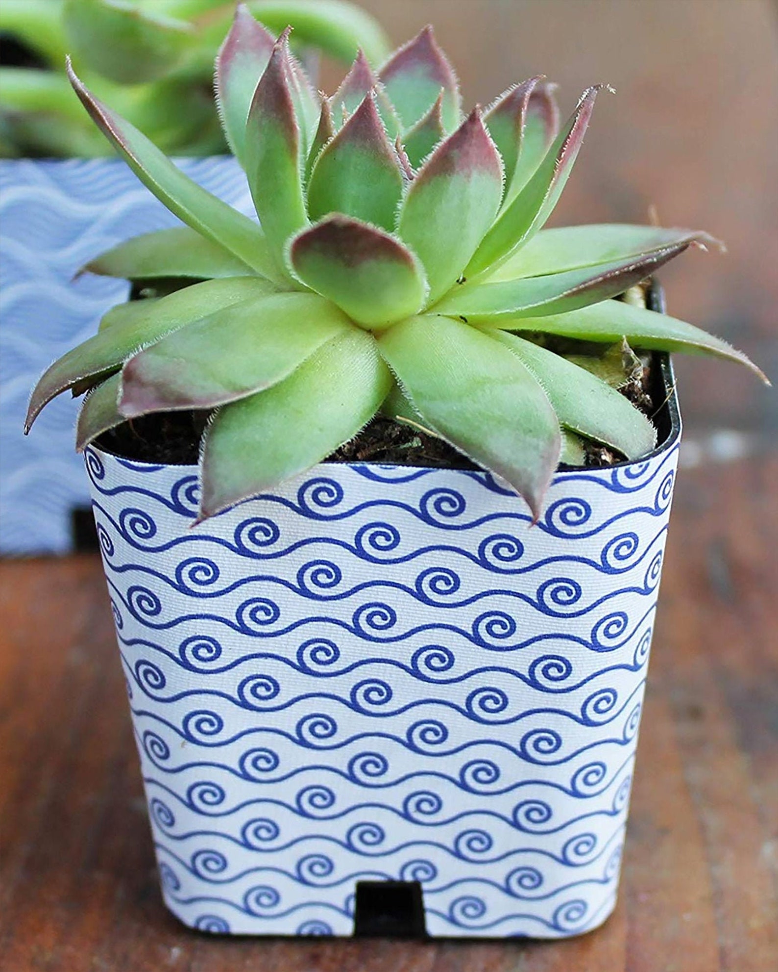 Custom 2 Succulent Wraps 3 Wave Patterns Perfect to - Etsy
