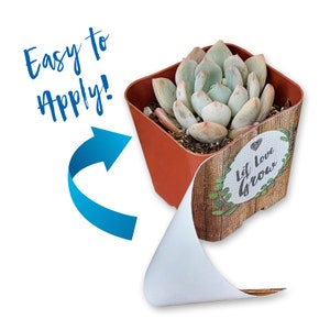 Custom 2" Succulent Wraps, White Shiplap With Wreath, Perfect to ...