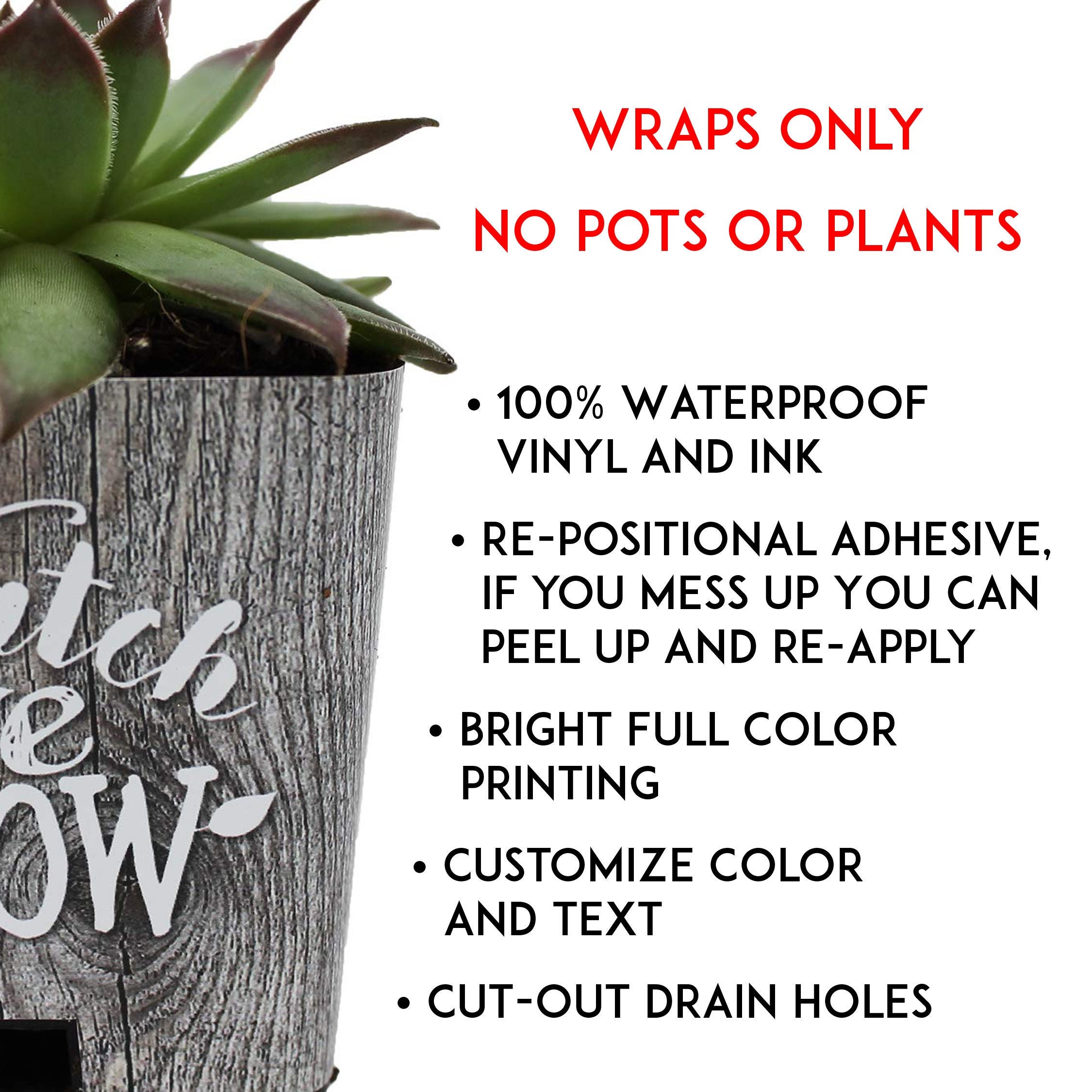 Custom 2" Succulent Wraps, 3 Wave Patterns, Perfect to Customize Your ...