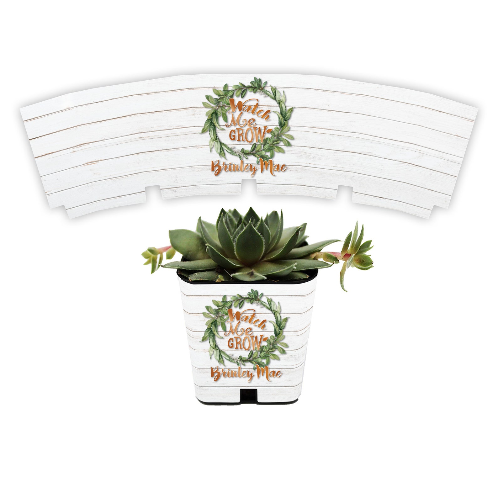 Custom 2 Succulent Wraps White Shiplap With Wreath - Etsy