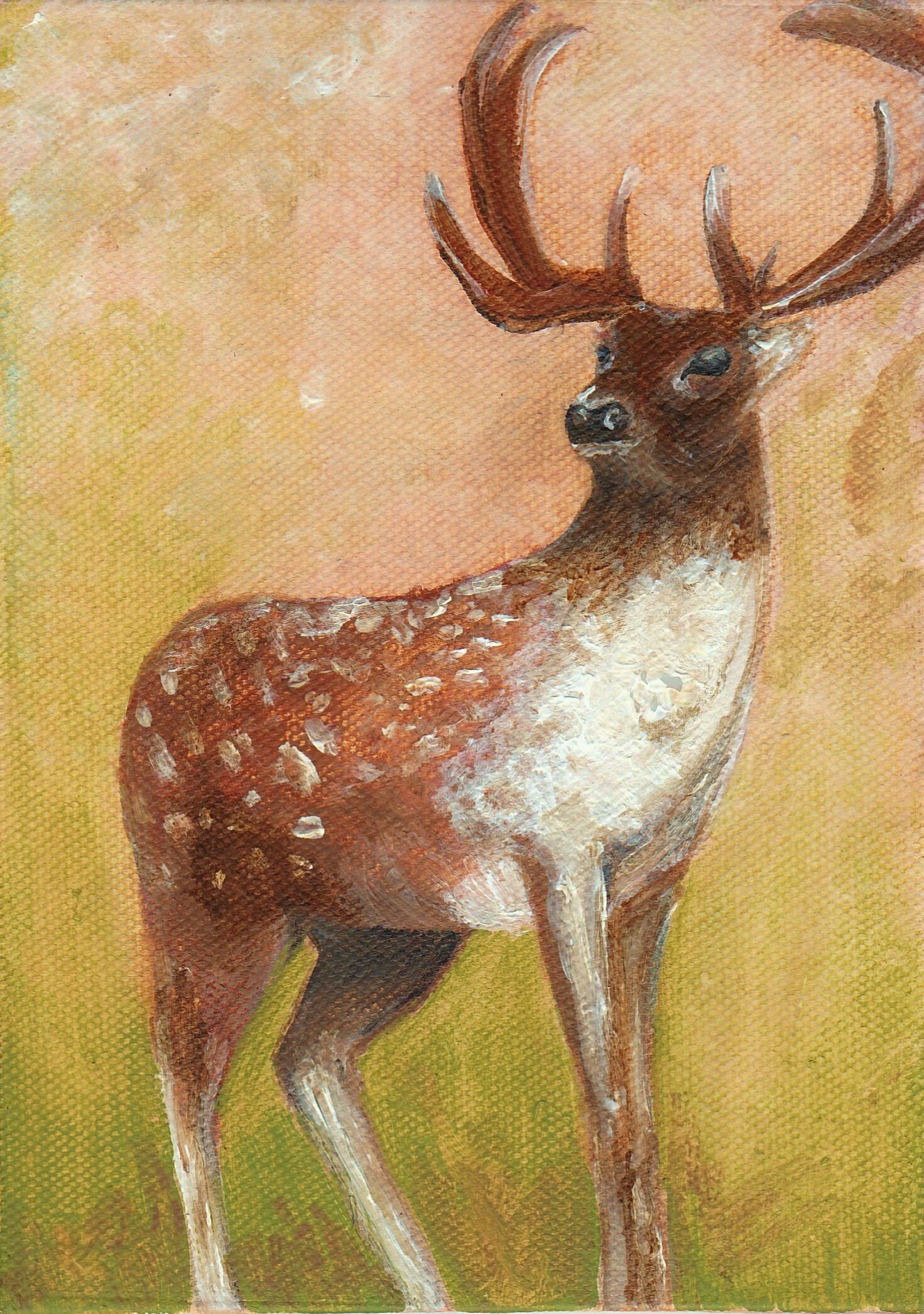 Fallow Deer Stag Giclee Print Unframed | Etsy