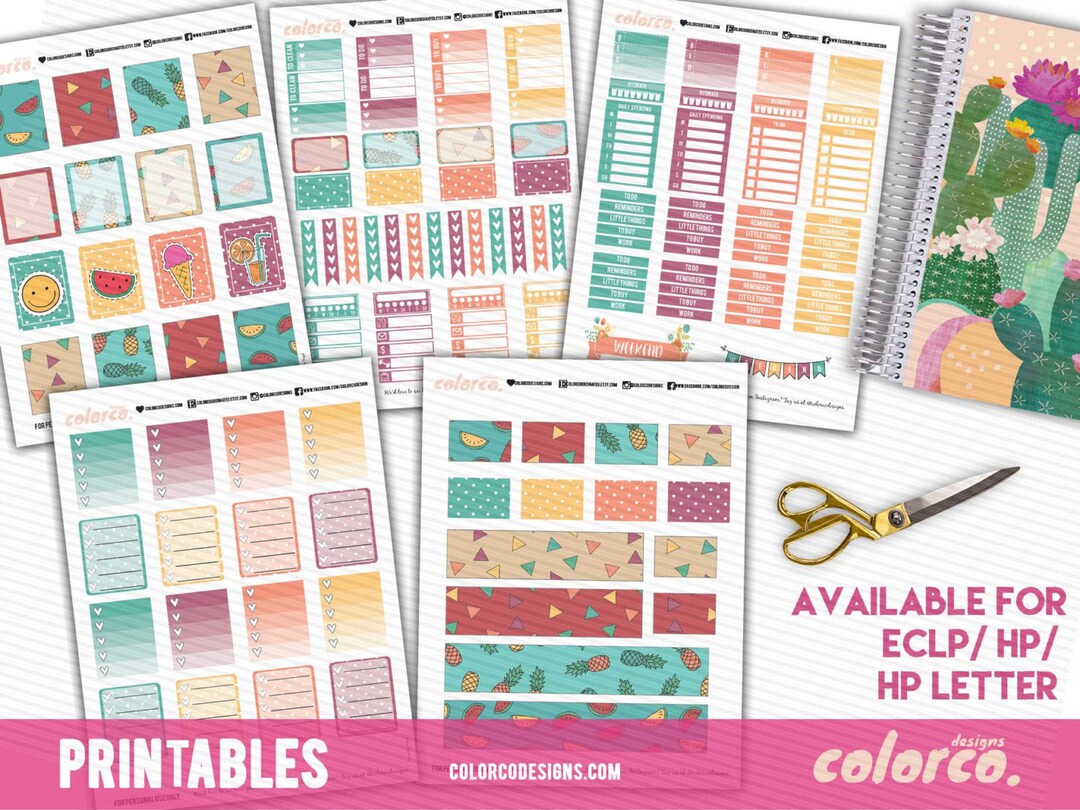 Funky Fruits ECLP Themed Weekly Kit Printable Planner Stickers Erin ...