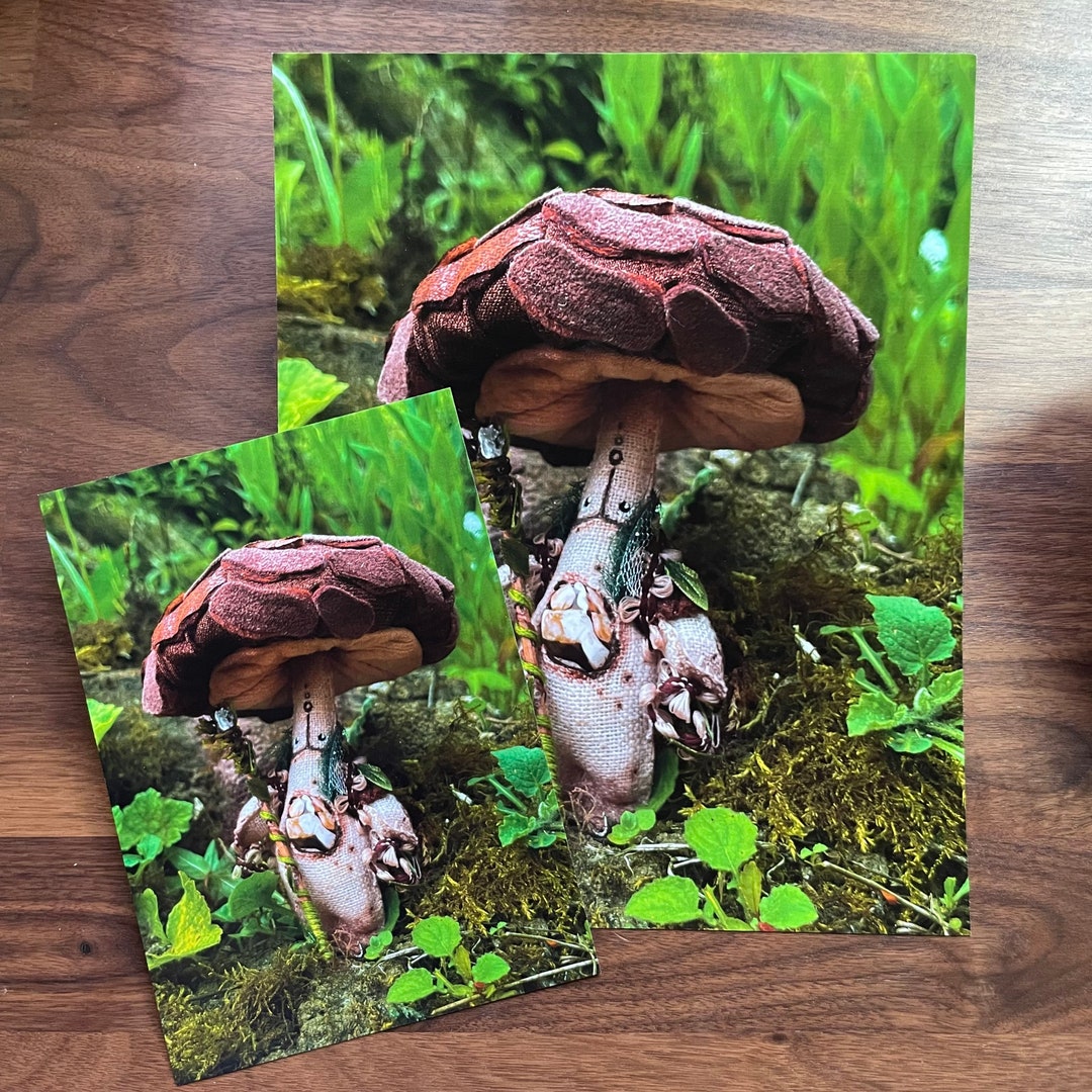 Arowen Art Print Mushroom Art Whimsical Magical Fantasy - Etsy