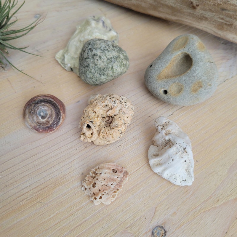 Beach Combing Finds - Etsy