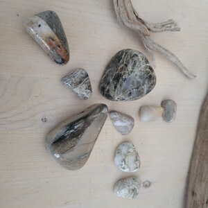 Ocean Rocks, 9 Milky Grey and Black, Beach Rocks, Beach Stones, Striped ...