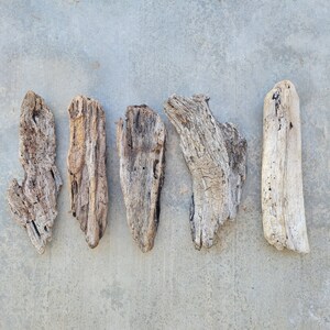 Natural Drift Wood Pieces, Chunky Log Drift Wood, Driftwood Crafts ...