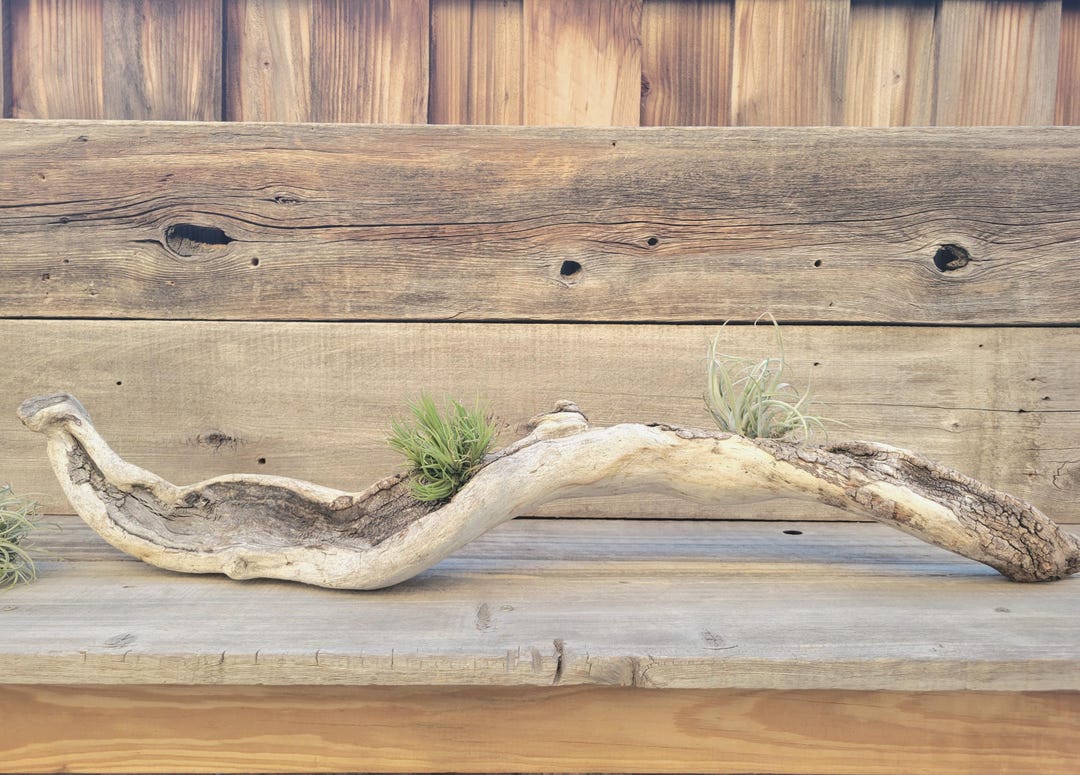 Exotic Natural Drift Wood Piece, Long Unique Twisted Knot Drift Wood ...