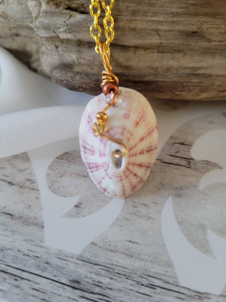 Shell Pendant Wire Wrapped Shell Necklace Beach Jewelry - Etsy