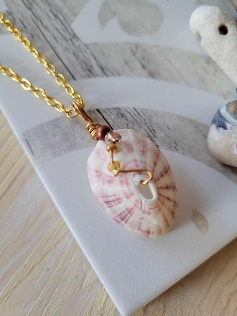 Shell Pendant Wire Wrapped Shell Necklace Beach Jewelry - Etsy