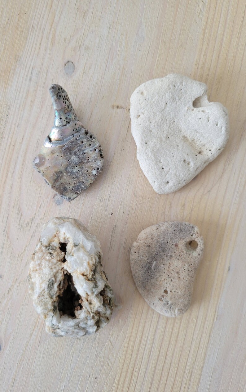 Holey Beach Stone, Beach Treasures, Beach Shells, Reef Treasures, Set ...