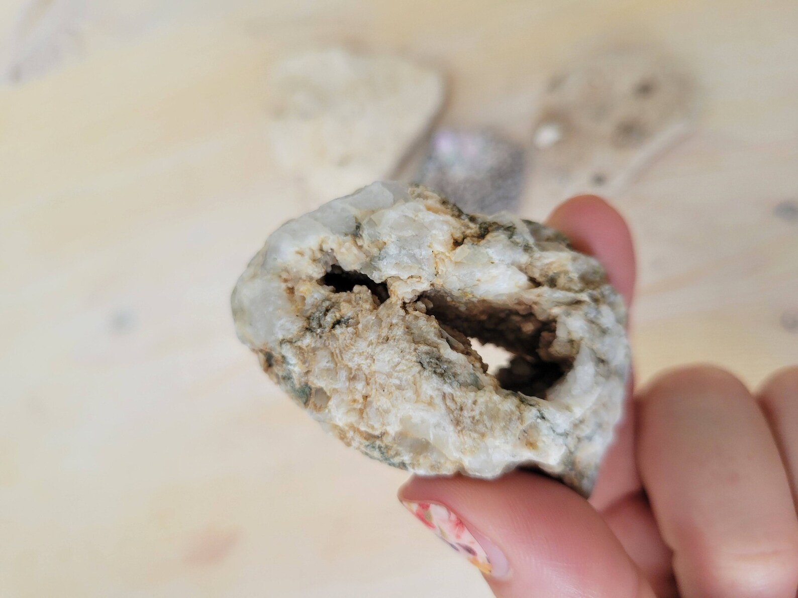 Holey Beach Stone, Beach Treasures, Beach Shells, Reef Treasures, Set ...