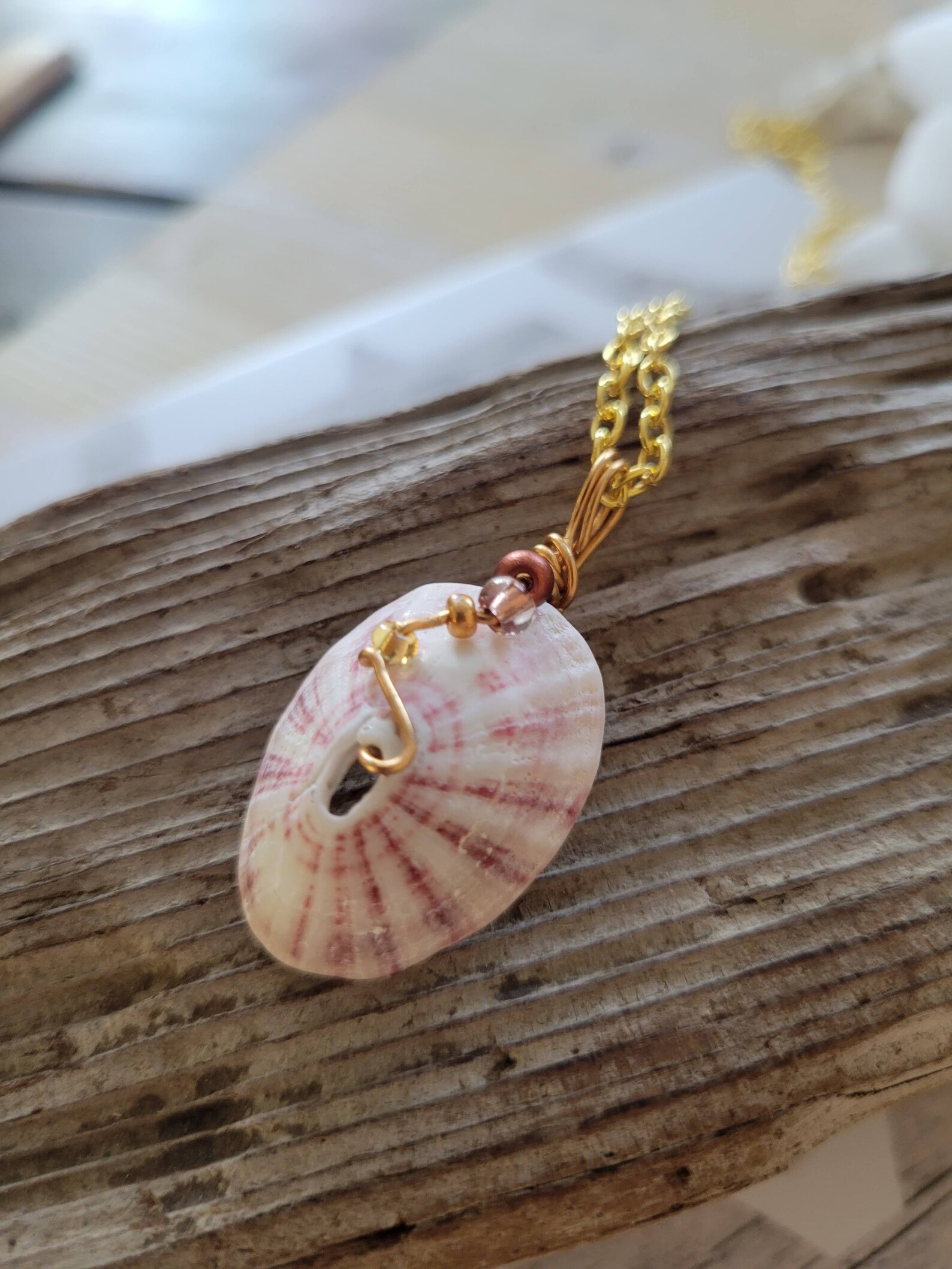 Shell Pendant Wire Wrapped Shell Necklace Beach Jewelry | Etsy