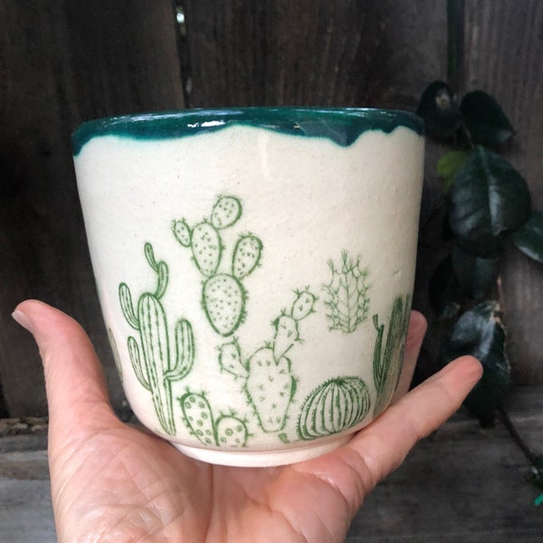 Cactus Planter - Etsy
