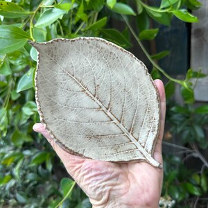 Leaf Dish, Pressed Hydrangea Leaf Pottery Bowl, Jewelry Leaf Dish, Home ...