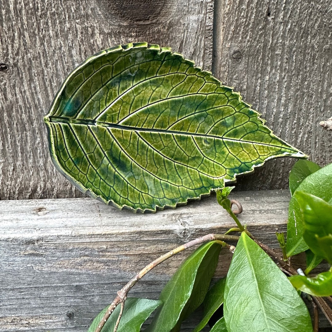 Leaf Dish, Pressed Hydrangea Leaf Ceramic Bowl, Ceramic Leaf Jewelry ...