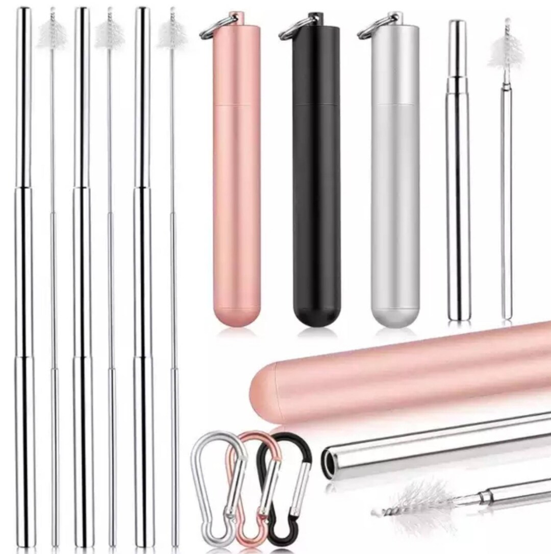 3 Pcs Set Collapsible Straw With Carabiner and Cleaning Brush ...