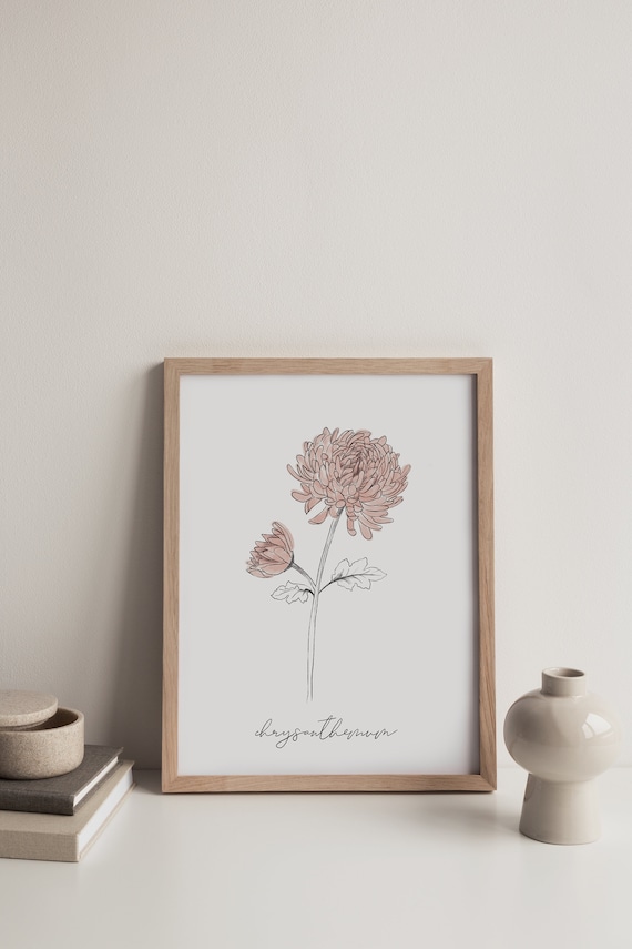 November Birth Flower Print Chrysanthemum Flower Illustration | Etsy